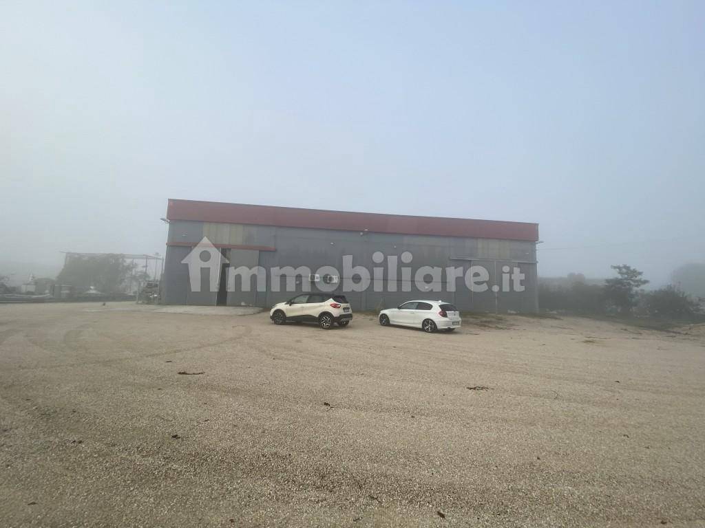 Capannone in Vendita