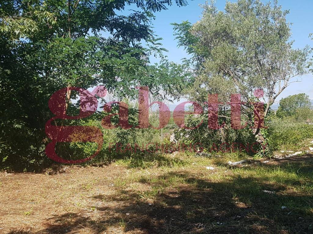 Terreno agricolo via triflisco 63, Bellona, rif. 86278434 - Immobiliare.it