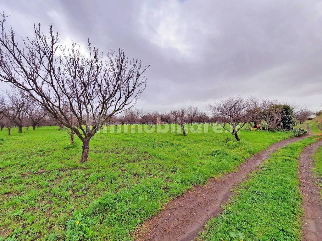 Terreno agricolo via Libero Grassi, Sant'Anastasia, rif. 86772828 ...