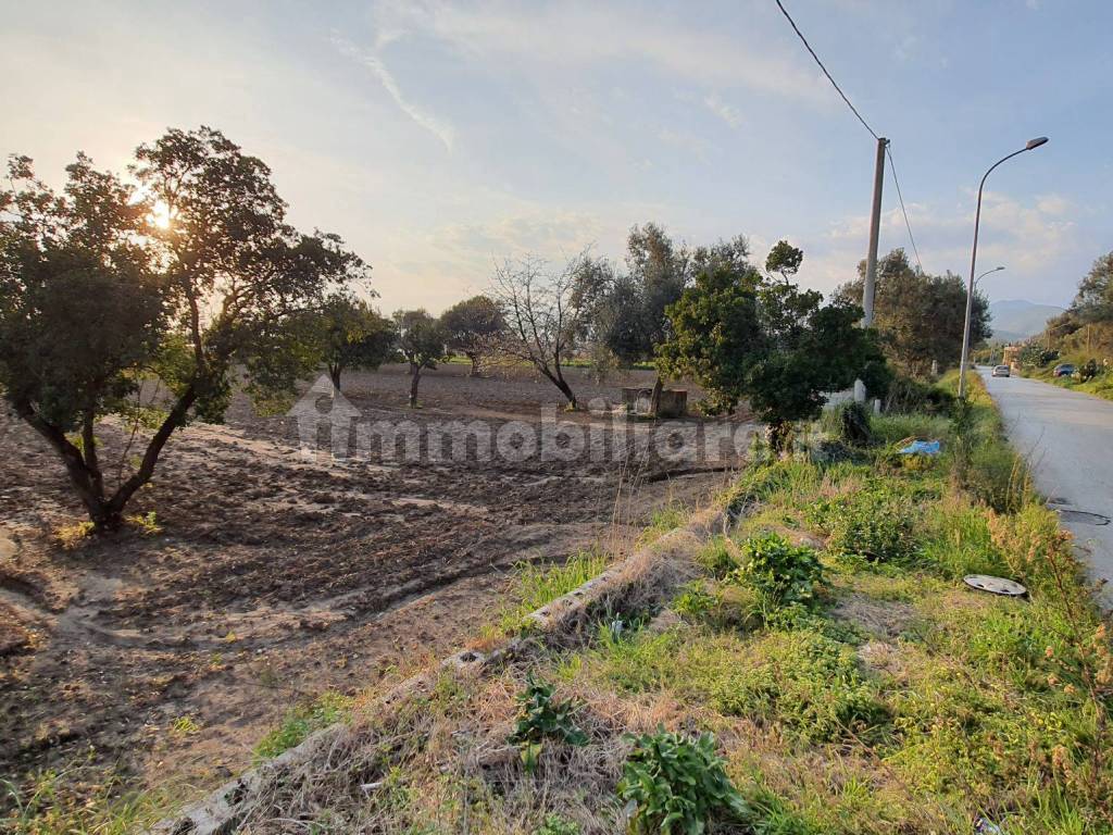 Terreno agricolo via Triflisco, Bellona, rif. 86984586 - Immobiliare.it