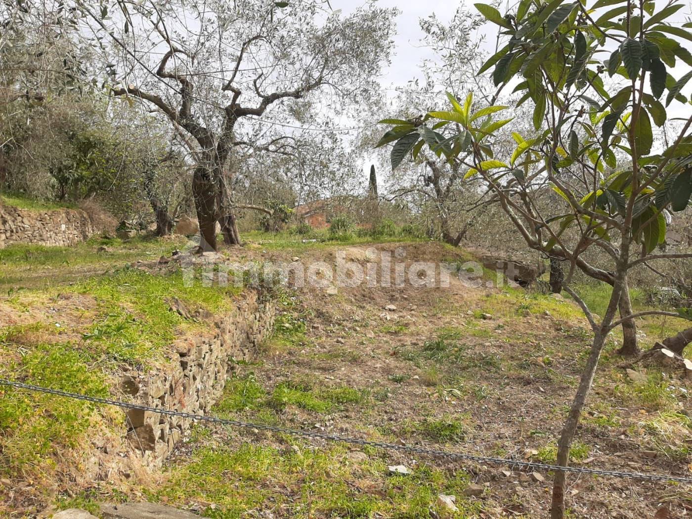 Terratetto plurifamiliare via Santa Lucia 8, Diano Marina