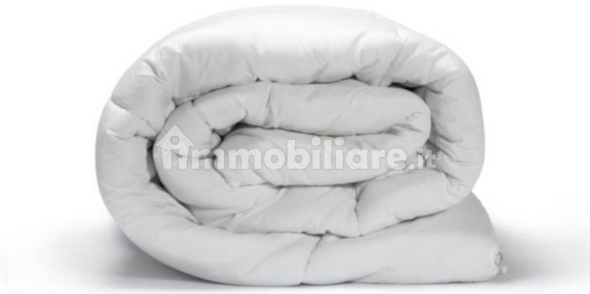 Lavanderia - Tintoria con laboratorio in Vendita