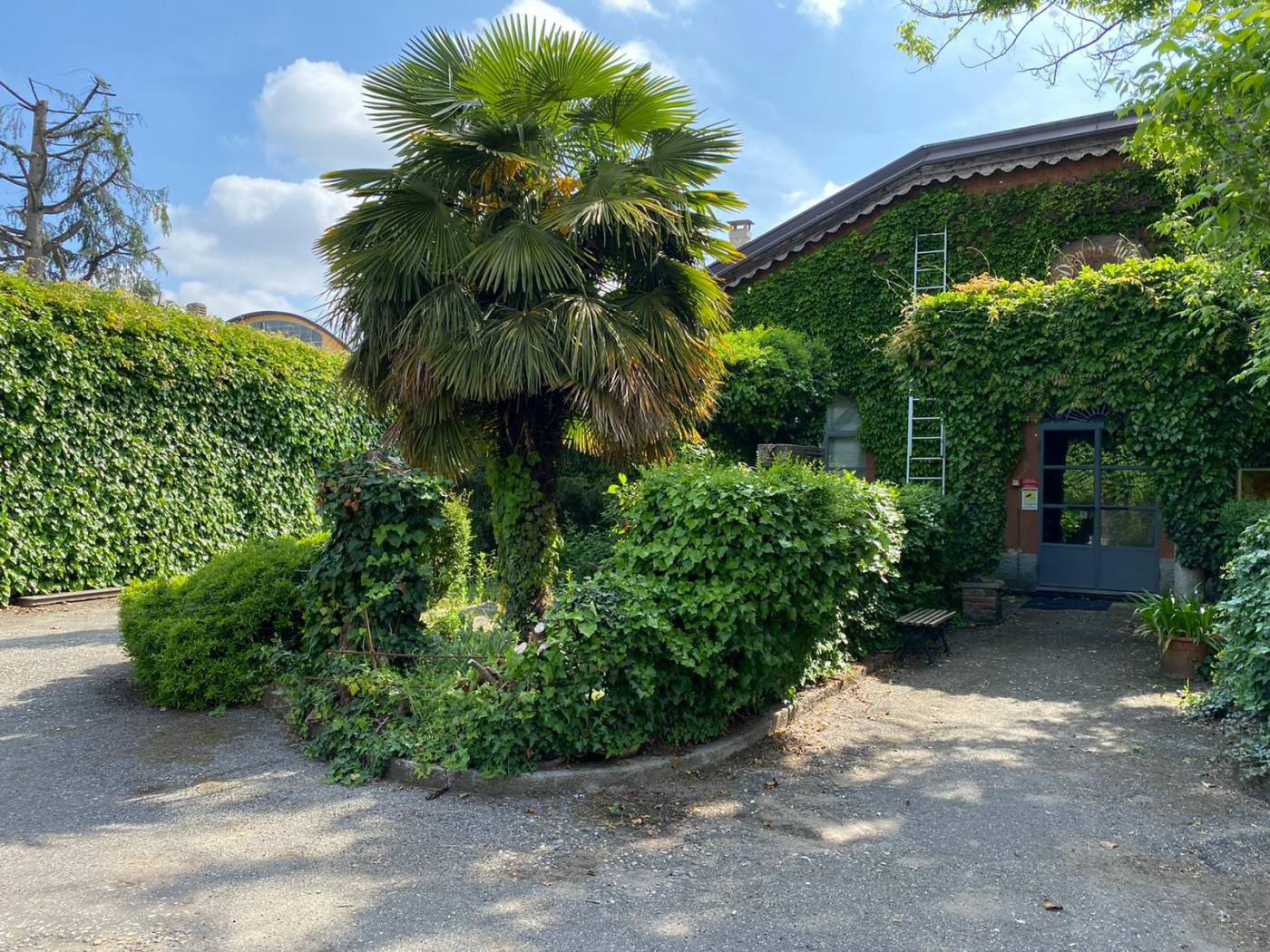 Attività commerciale con laboratorio in Vendita