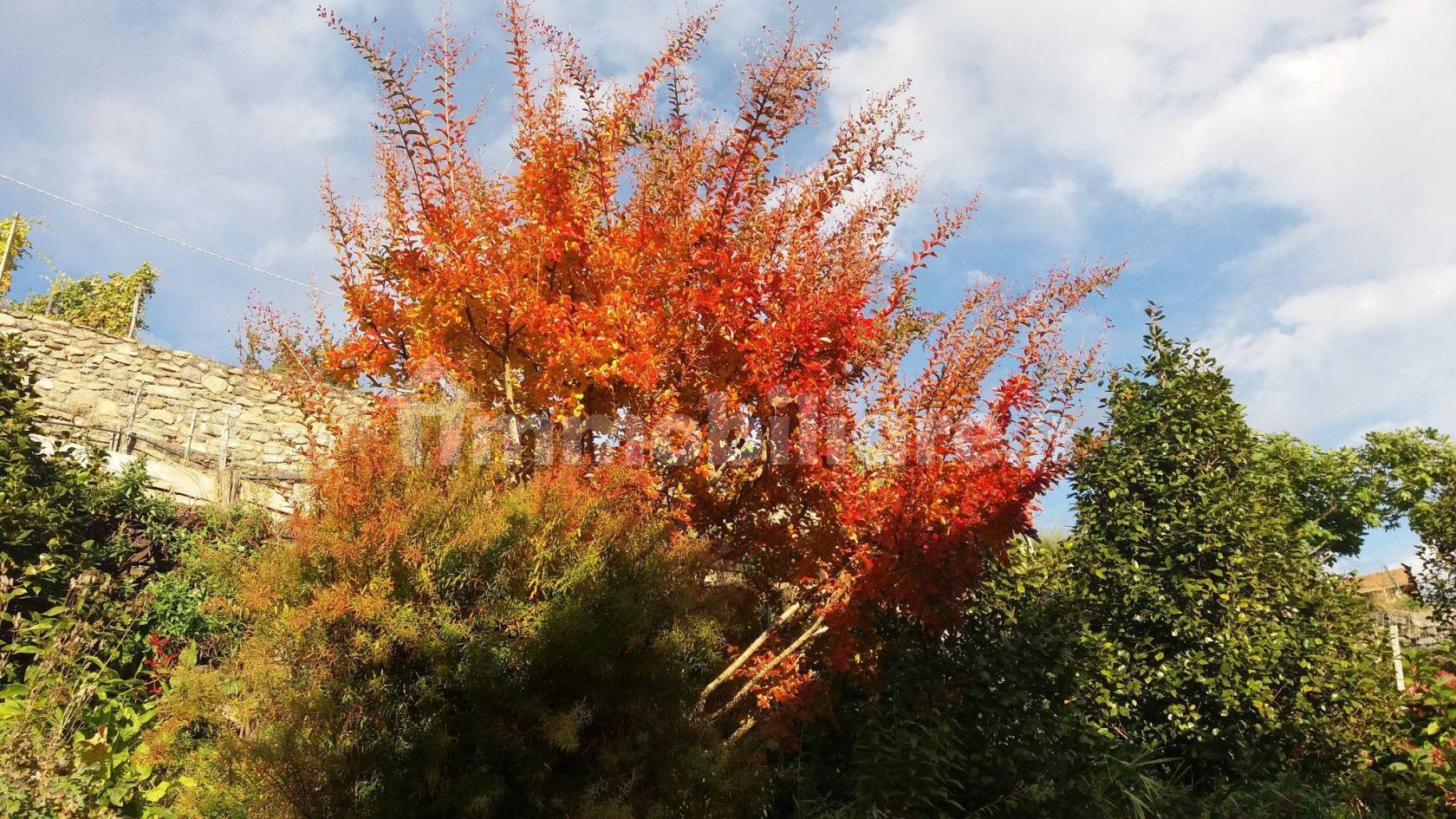 Quadrilocale via Mario del Grosso 13, Centro, Sondrio