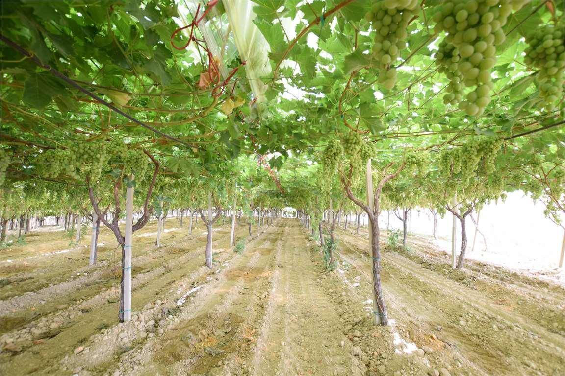 Locale commerciale in Vendita