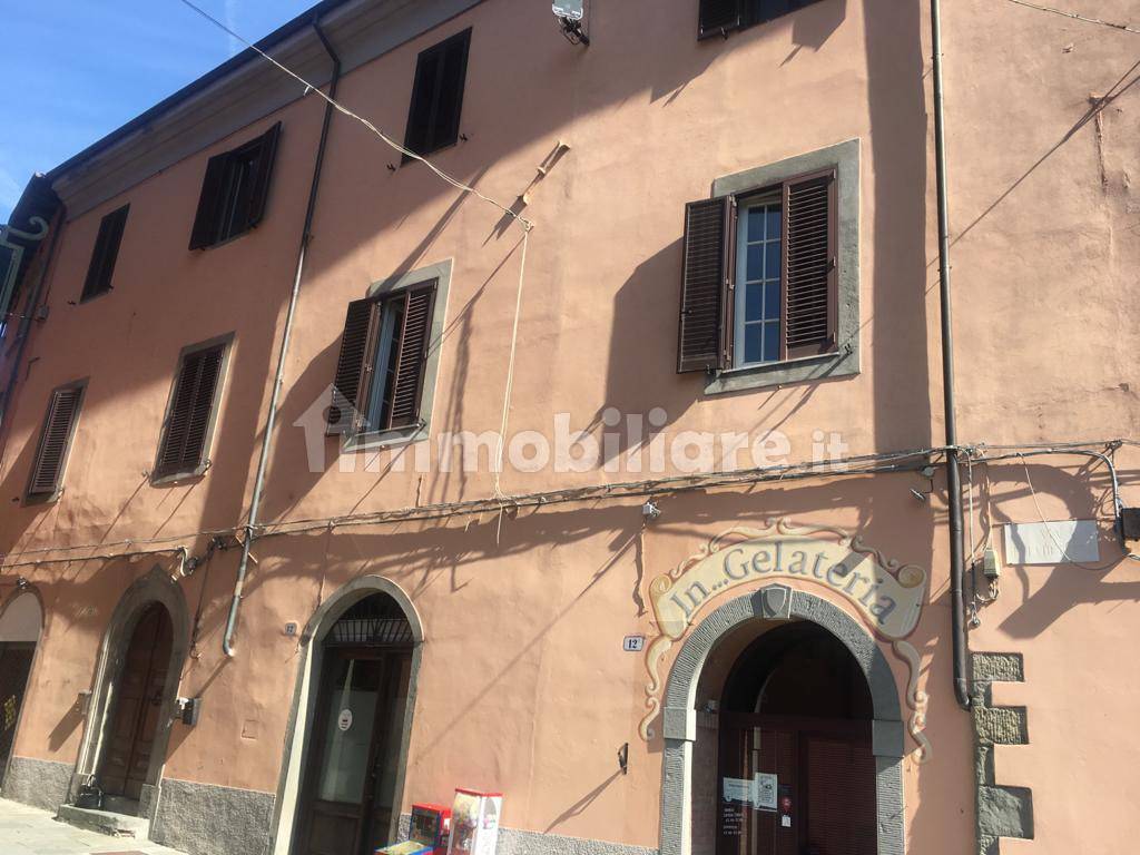 Quadrilocale via Fulvio Testi 12, Centro, Castelnuovo di Garfagnana