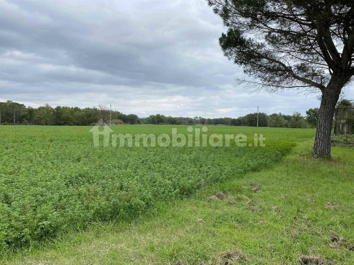 Locale commerciale in Vendita