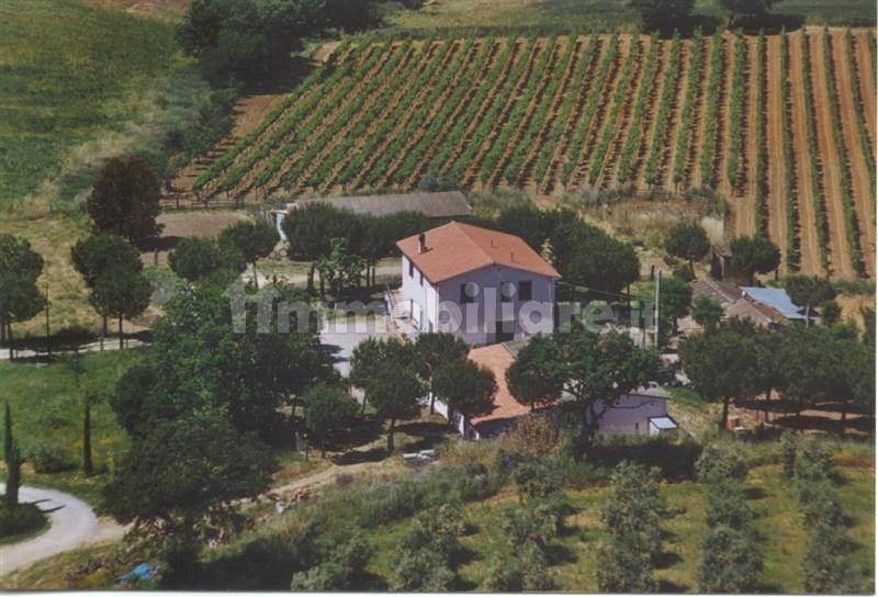 Locale commerciale in Vendita