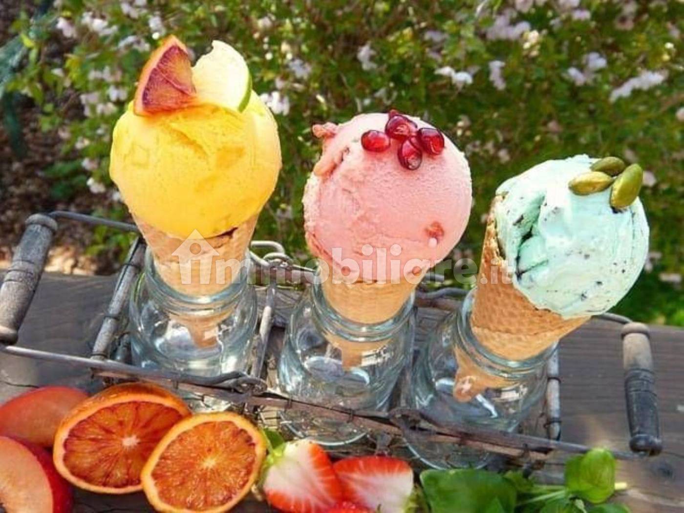 Gelateria in Vendita
