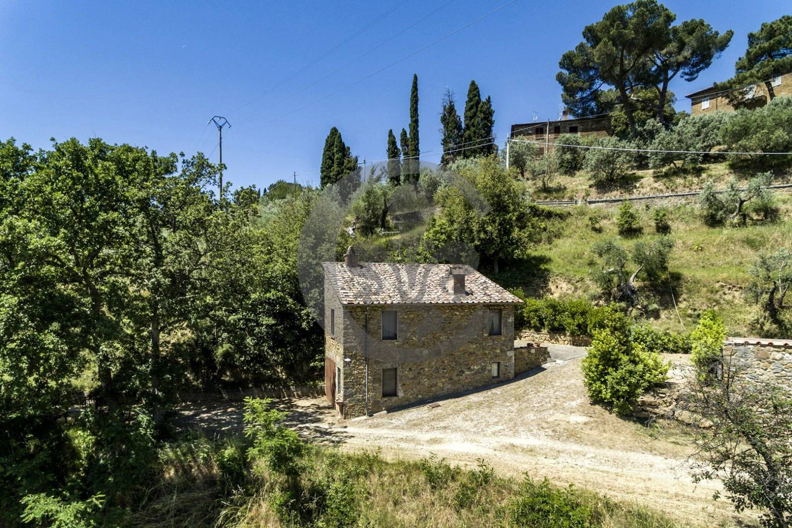 Azienda agricola in Vendita