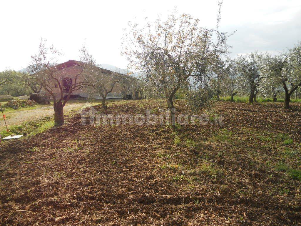 Villa unifamiliare Strada Comunale per Starza Cannavinelle, Montaquila