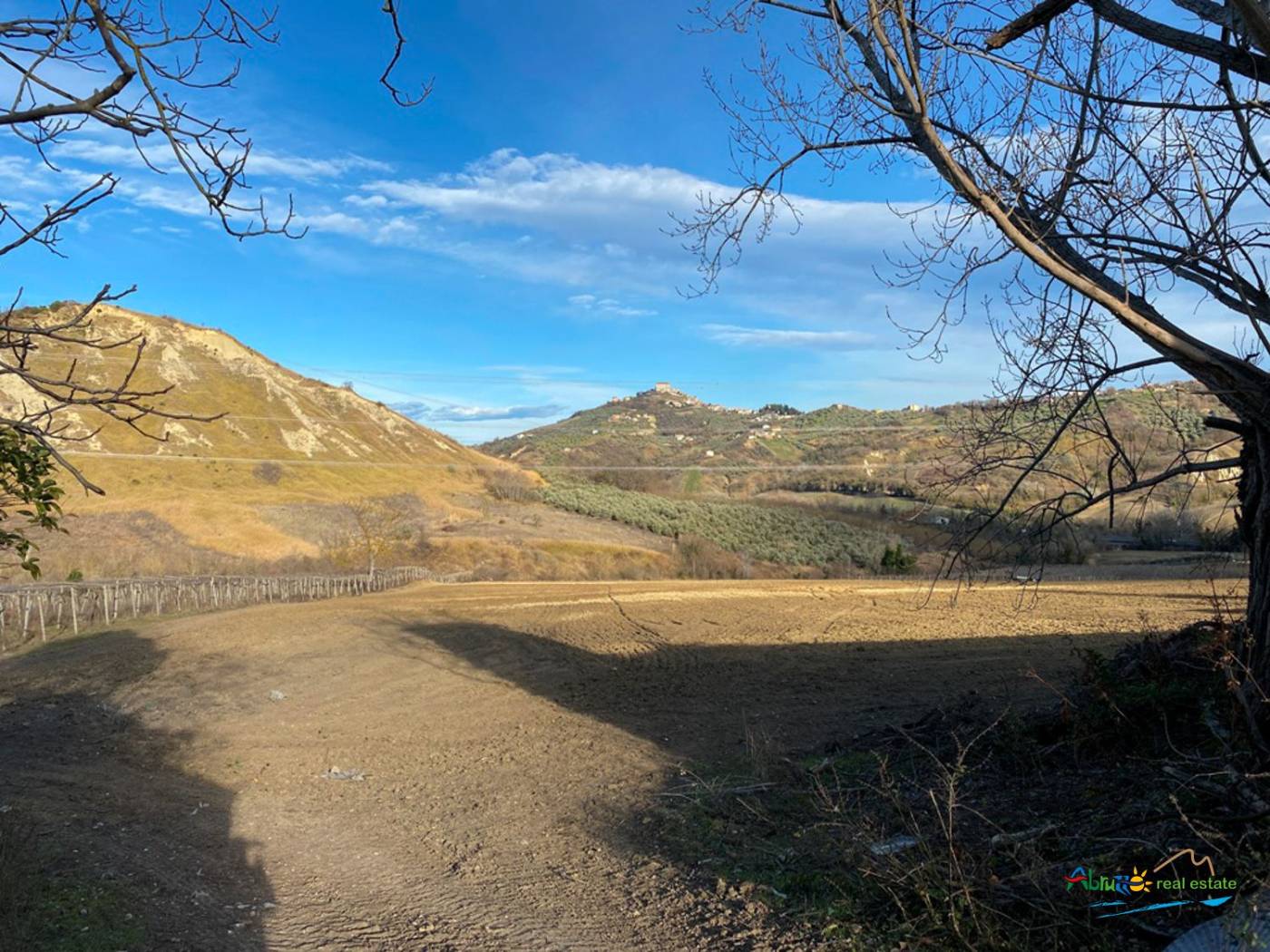 Azienda agricola con laboratorio in Vendita