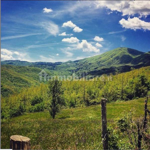 Bilocale via Breva 27, Tarsogno, Tornolo