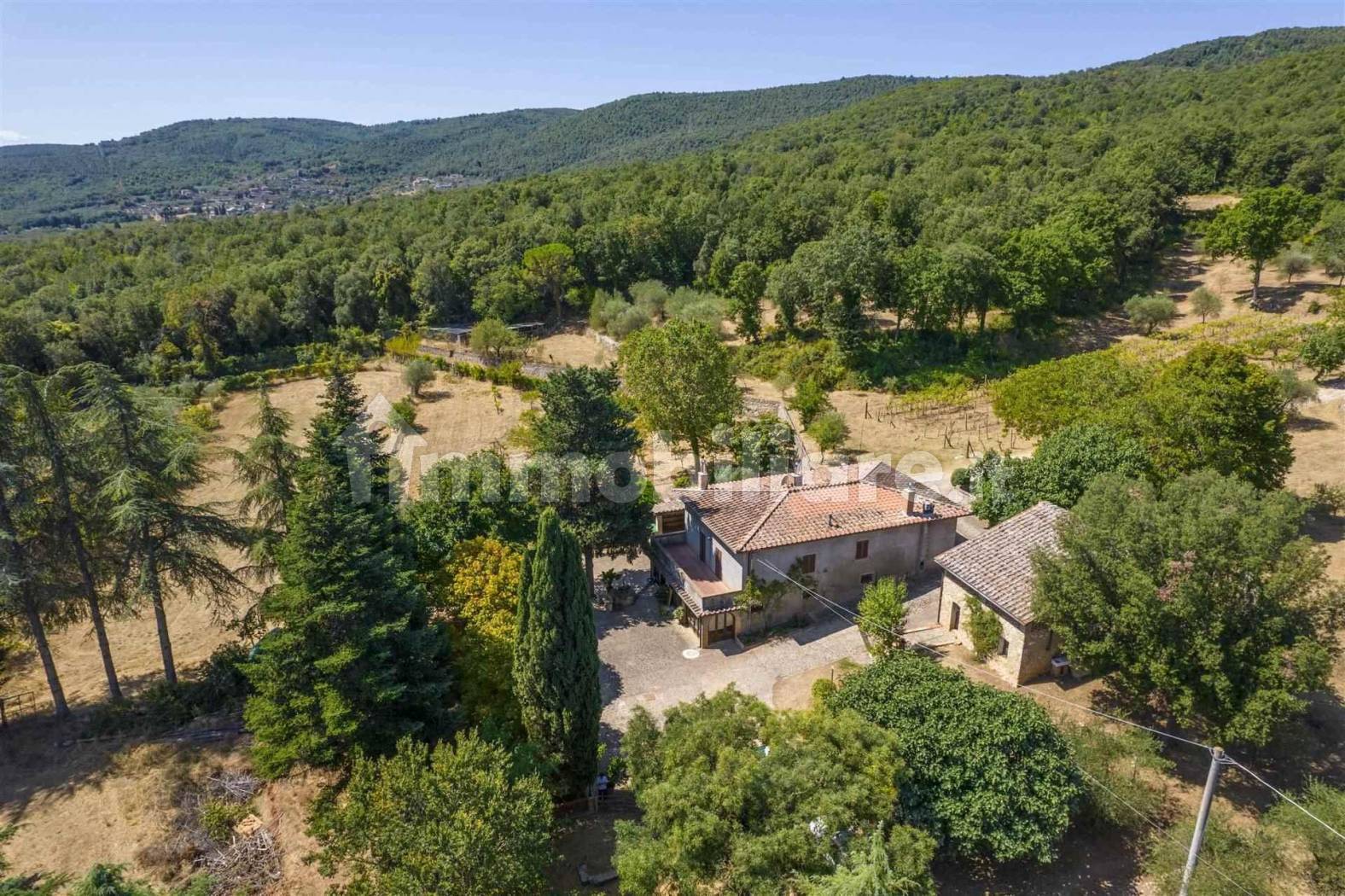 Azienda agricola in Vendita