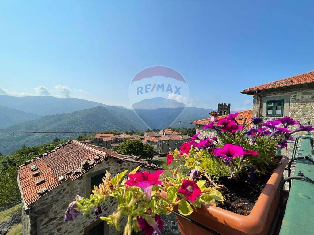 Sale Multi-family detached house in pieve di controne Bagni di Lucca ...