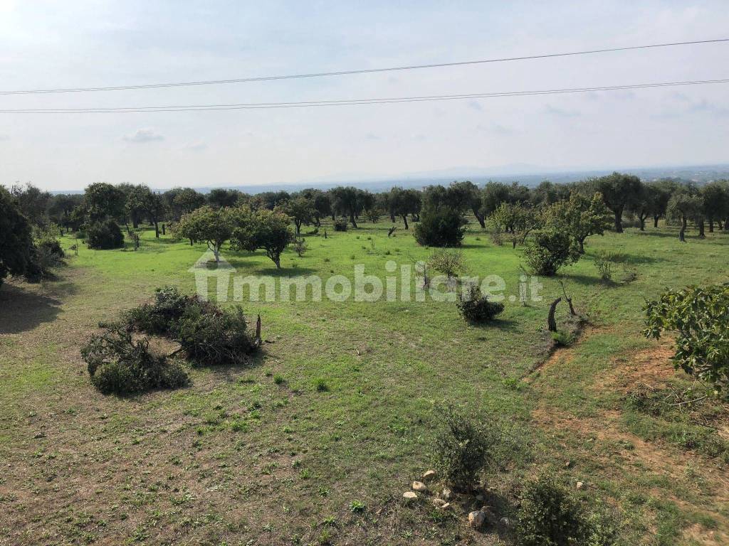 Sale Single-family detached house in Strada Vicinale Taniga-San Giacomo ...
