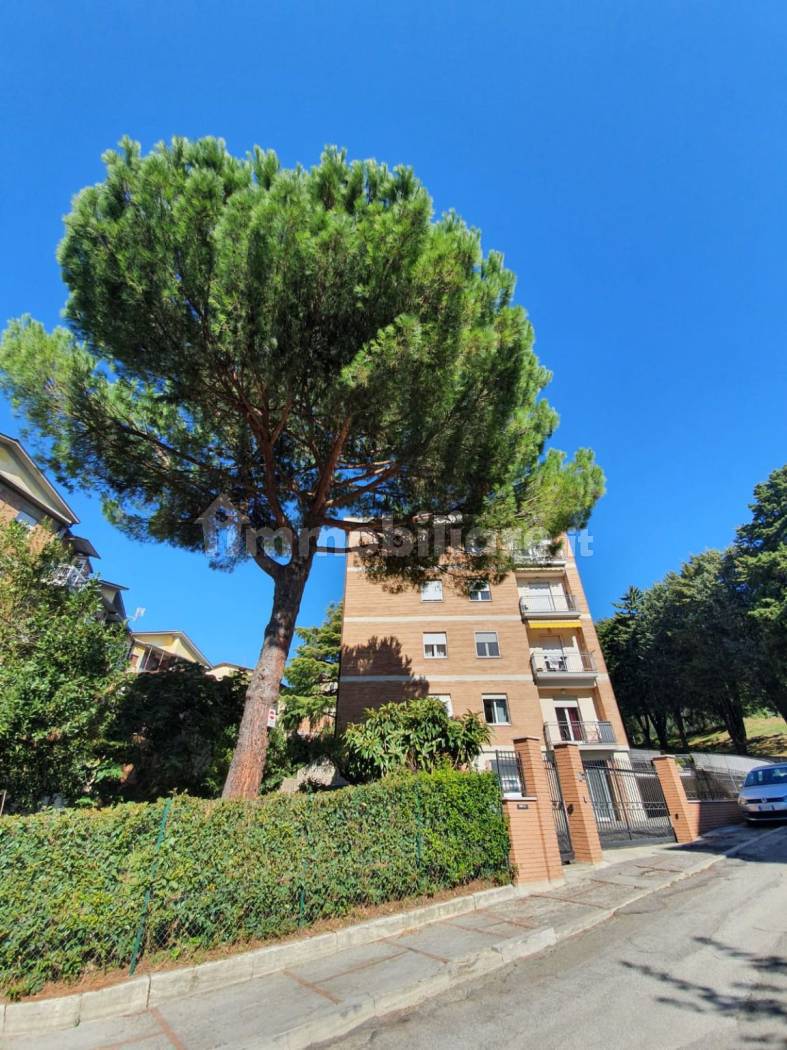 Laboratorio in Vendita