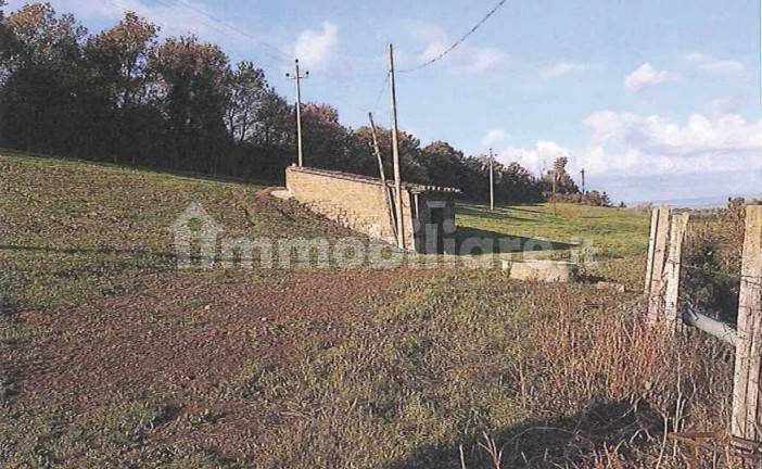 Magazzino o deposito, magazzino o deposito all'asta Superstrada Cassia Sud, Viterbo