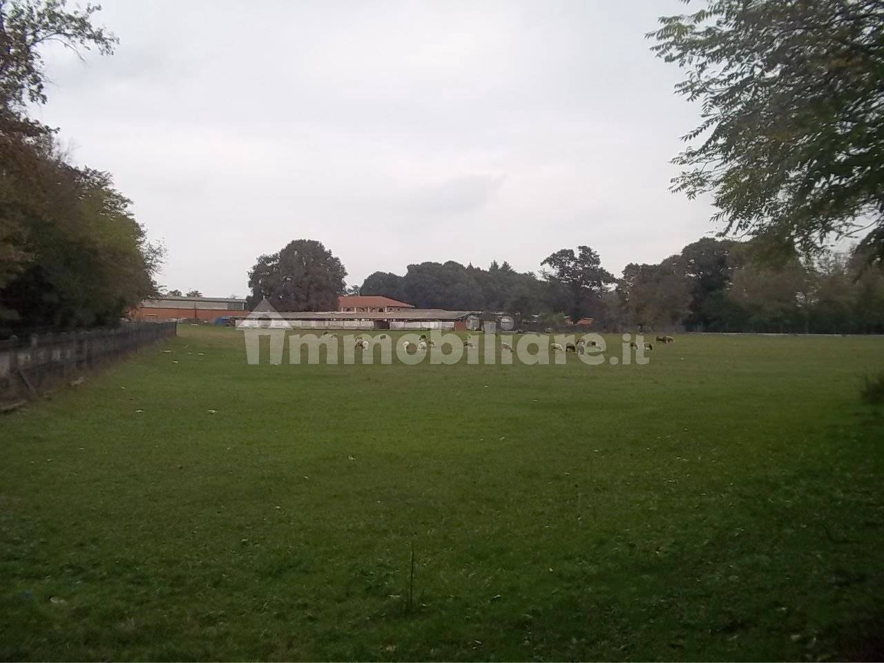 Azienda agricola in Vendita