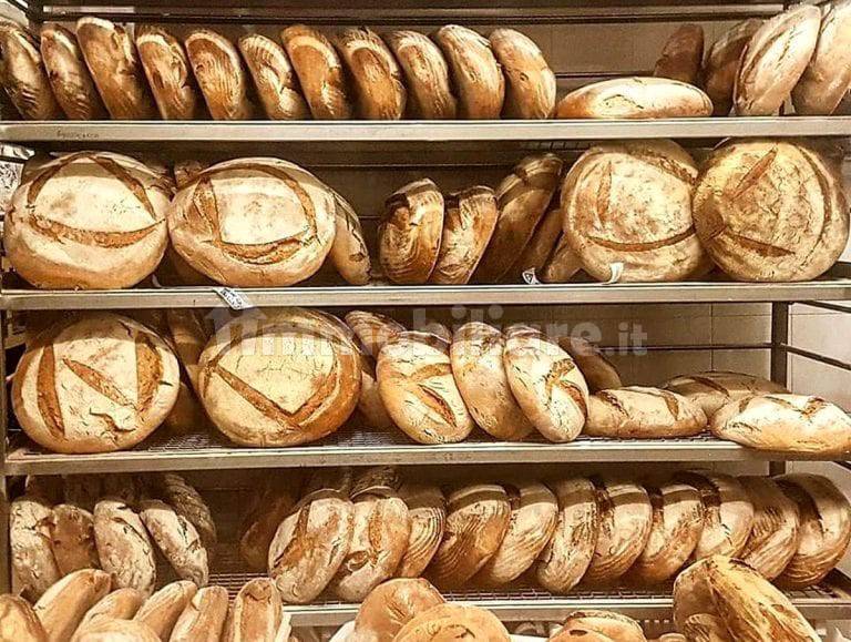 Panificio in Vendita