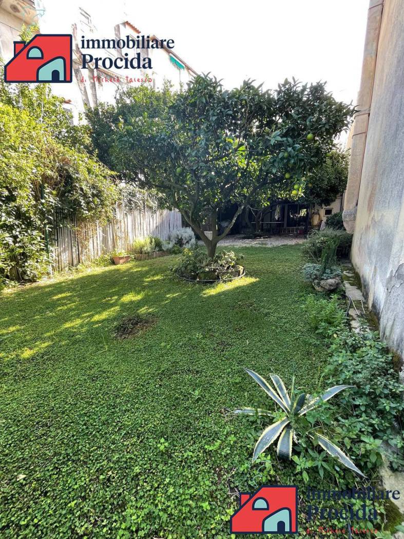 Quadrilocale via Bartolomeo Pagano 22, Procida