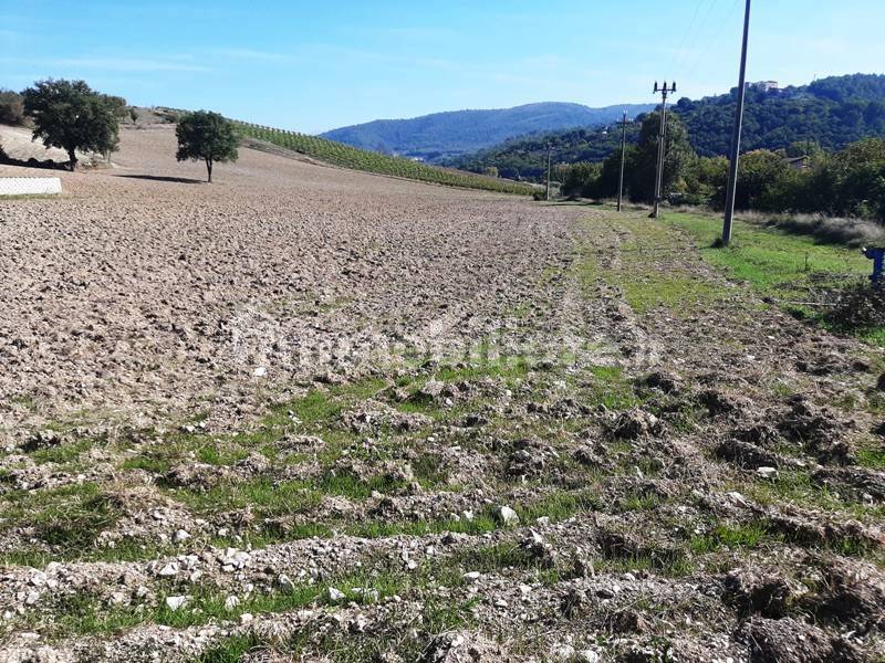Terreno edificabile Località Crocemarroggia-Perchia, Spoleto, rif ...