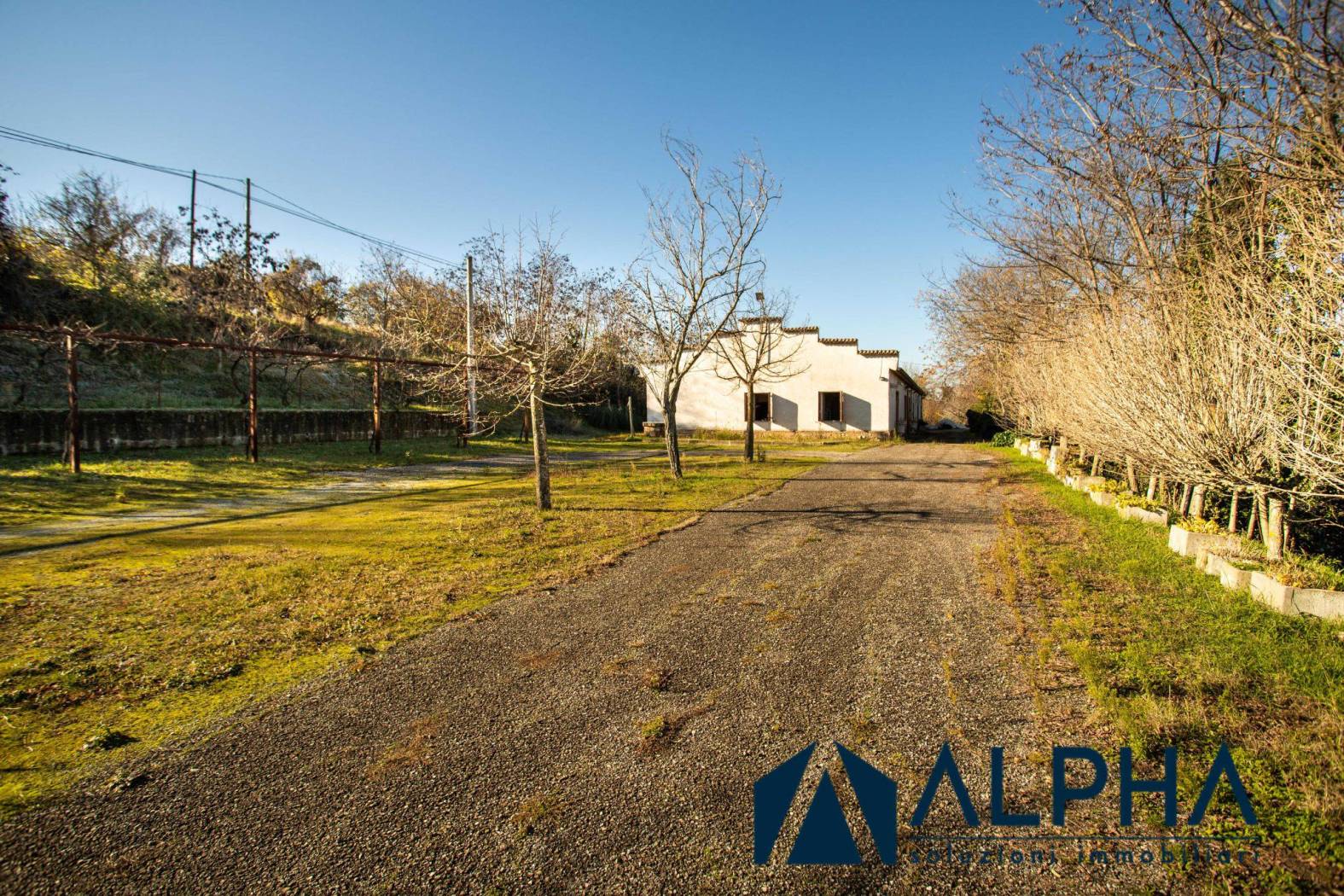 Locale commerciale in Vendita