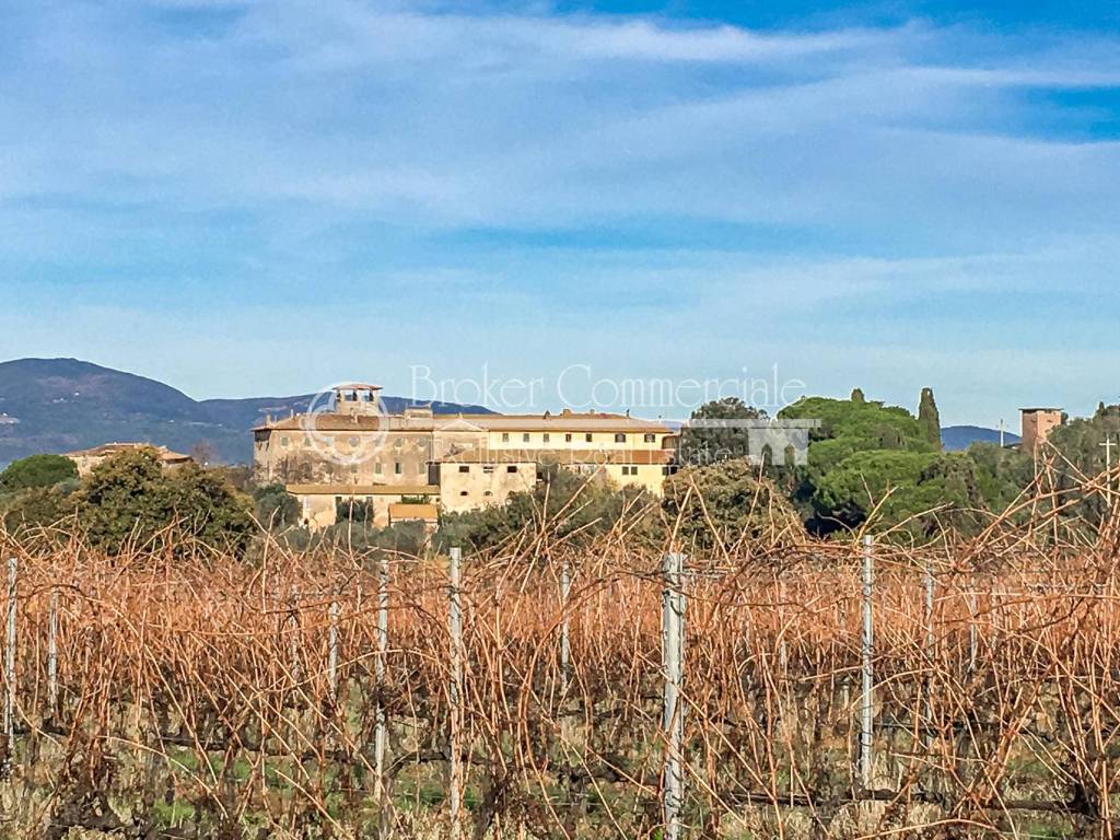 Palazzo - Edificio Località Panconcello, Piombino, Rif. 92760016 ...