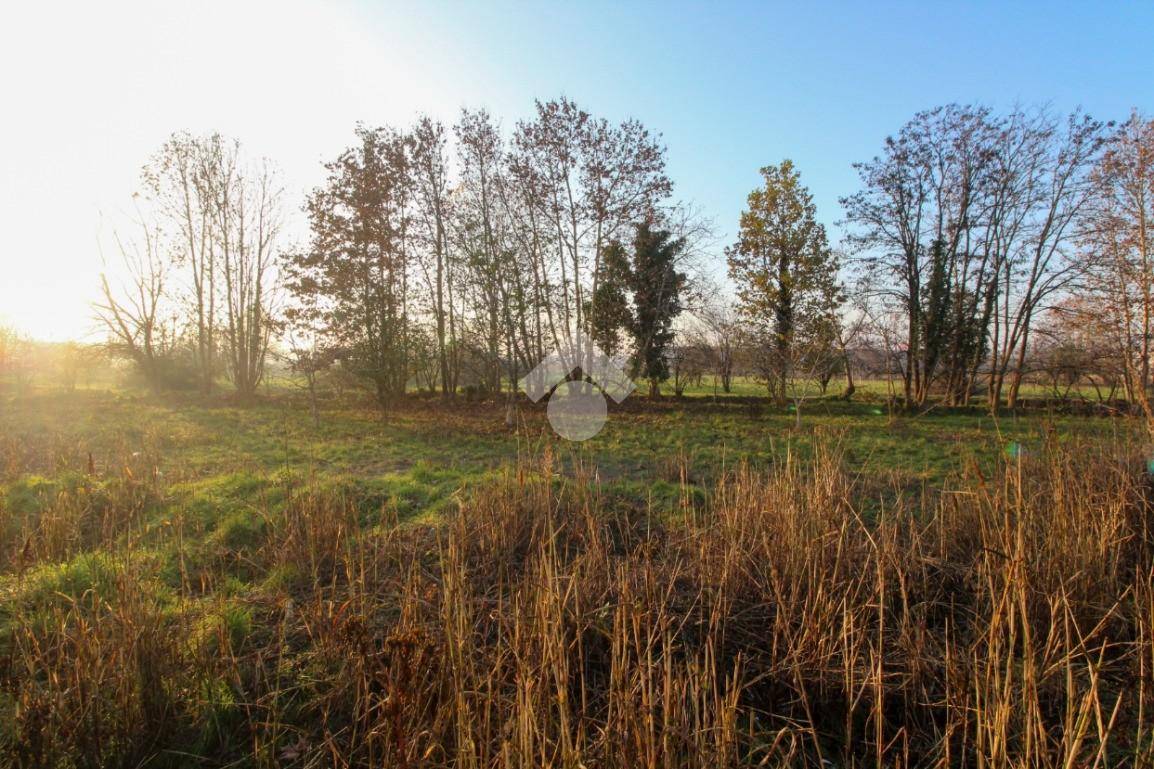 Capannone in Vendita