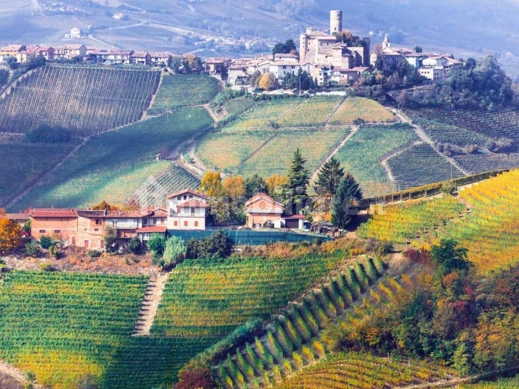Vendita Terratetto plurifamiliare in via Monforte Barolo. Buono stato ...
