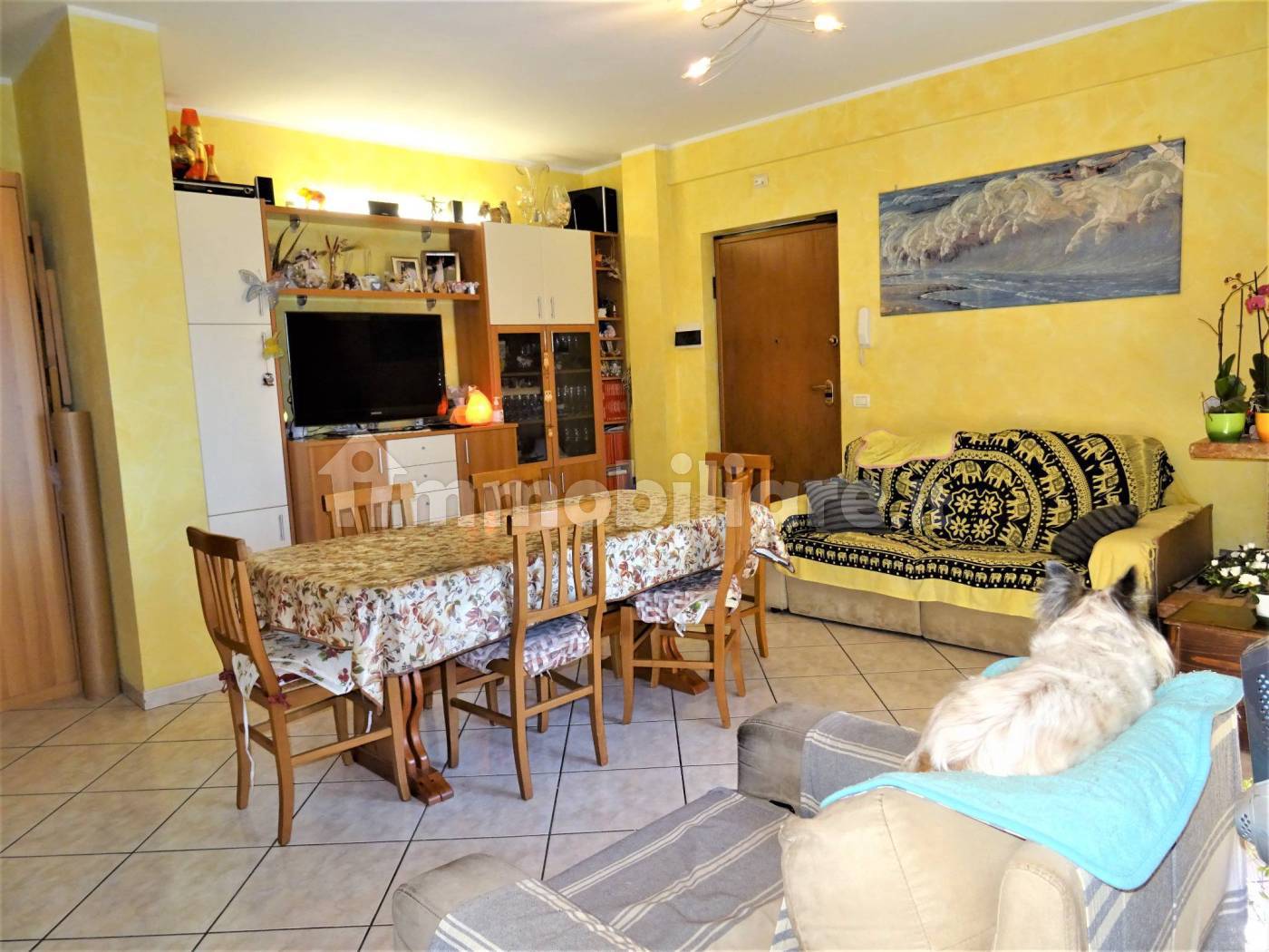 Trilocale via Gabelletta, Gabelletta, Terni