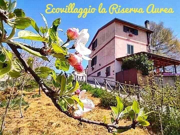 Affitto Appartamento in villa in via Sabino 20 Nespolo. Buono stato ...