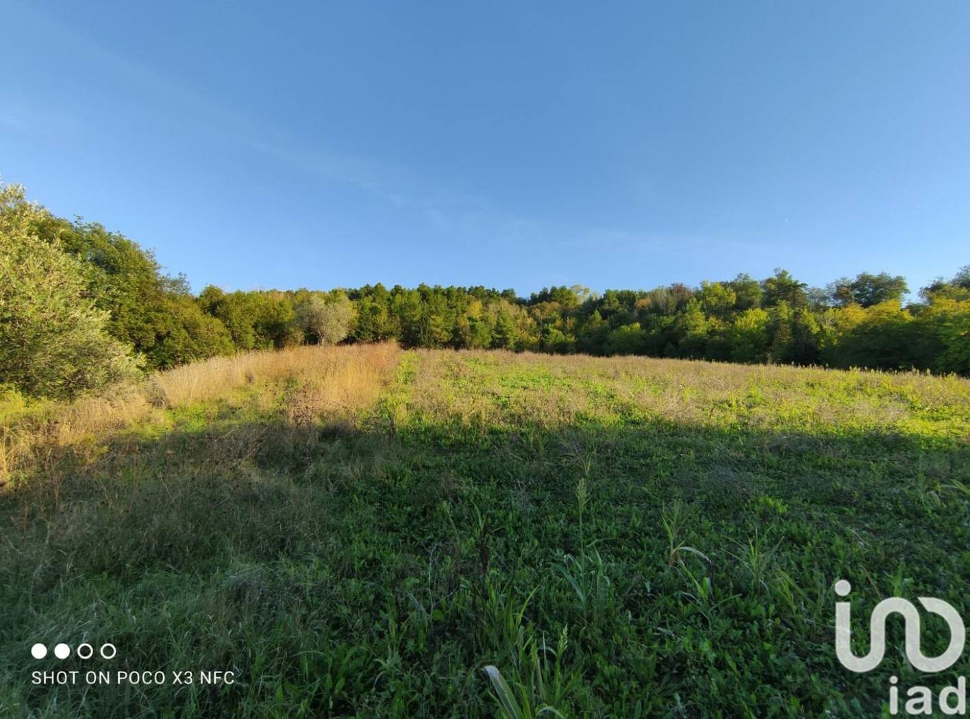 Azienda agricola in Vendita