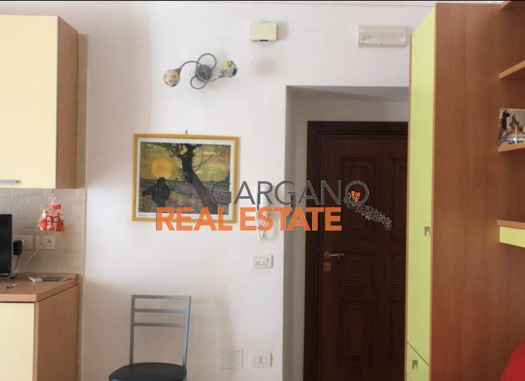 Monolocale via Tordisco, Centro, Vieste