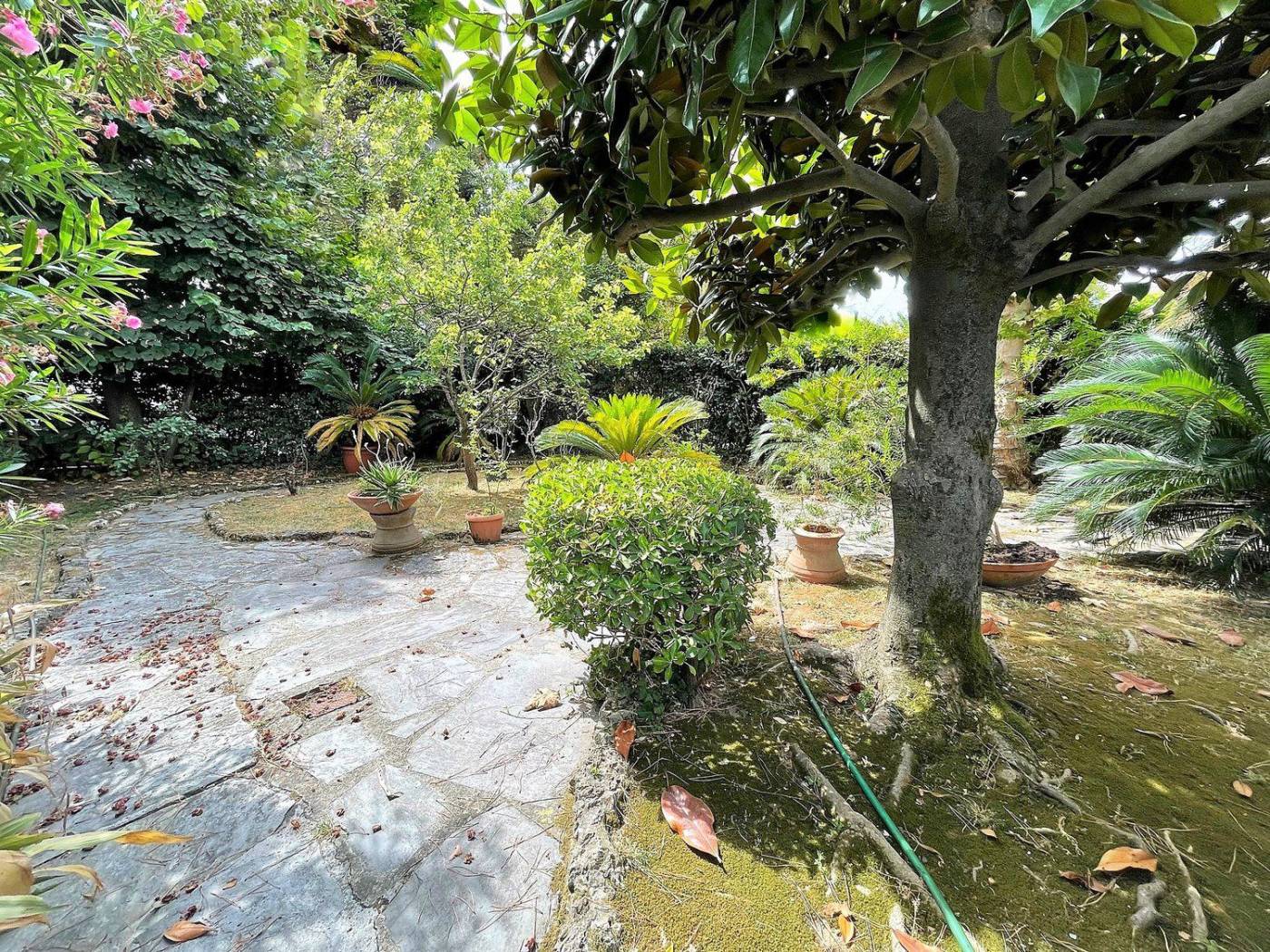 Quadrilocale via Michelangelo Buonarroti 84, Città Giardino, Viareggio