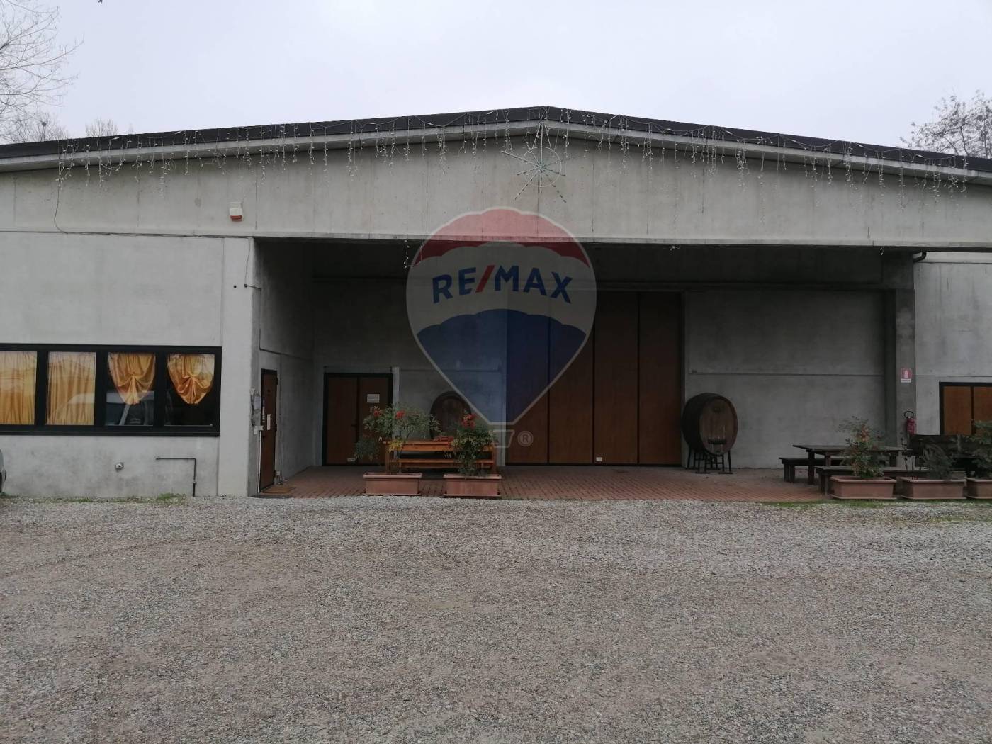 Azienda agricola in Vendita