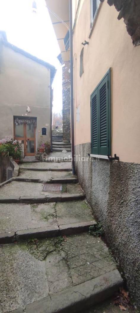 Quadrilocale buono stato, Fontia, Fossola, Fossone, Carrara