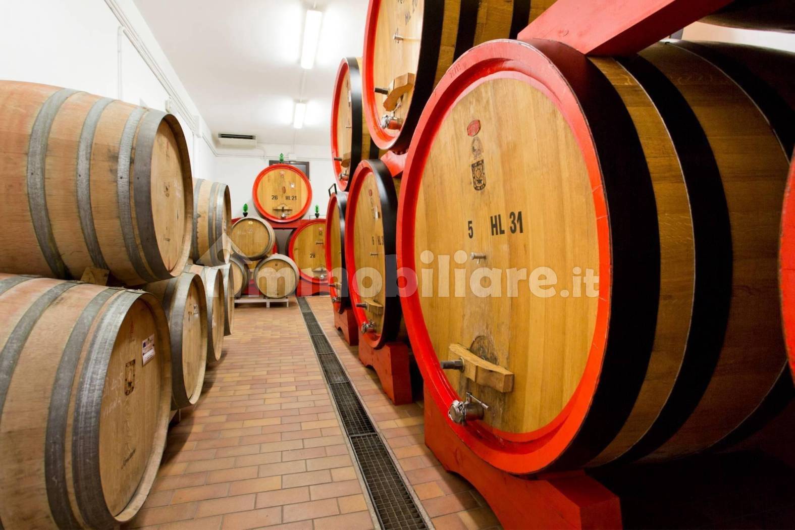 Azienda agricola in Vendita