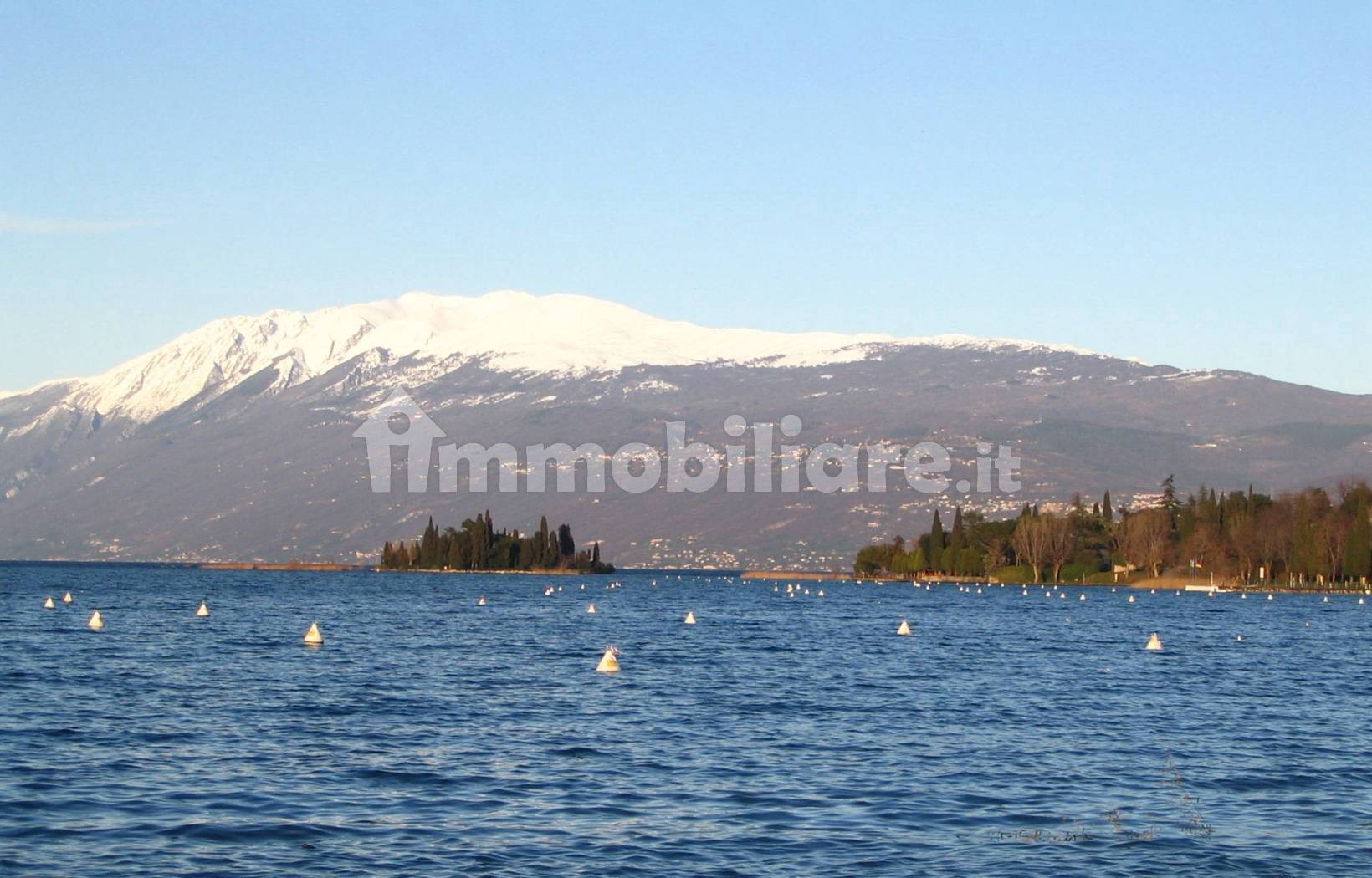 Attività commerciale in Vendita