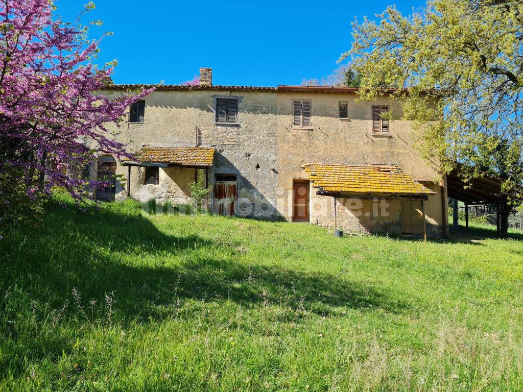 Vendita Casa colonica in via Fontevecchia Montopoli di Sabina. Da ...