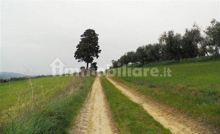 Locale commerciale in Vendita