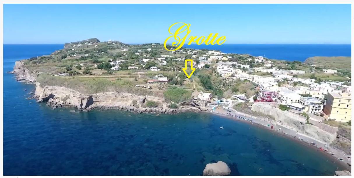 Falegnameria con laboratorio in Vendita