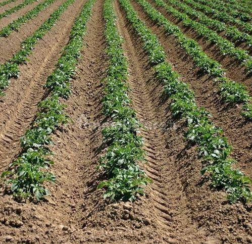 Locale commerciale in Vendita