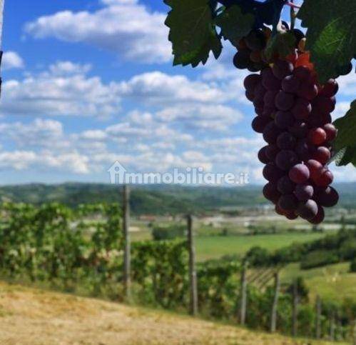 Locale commerciale in Vendita