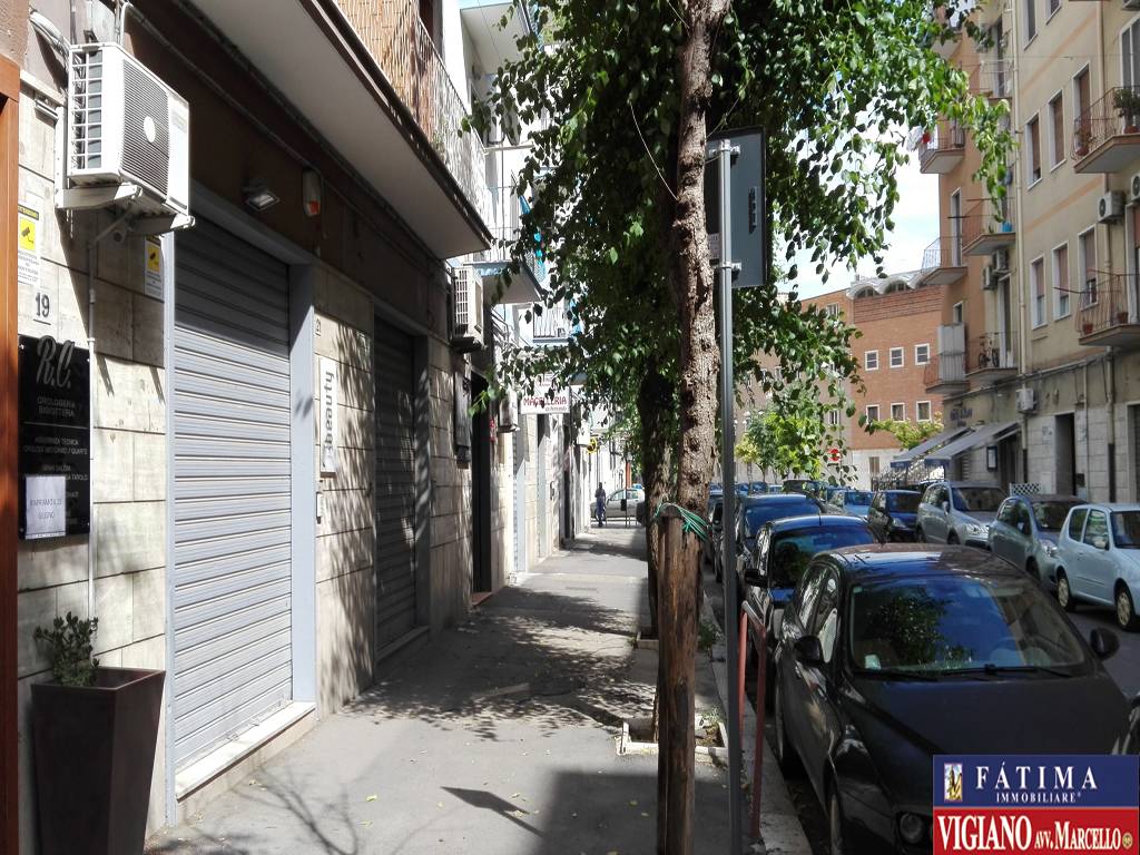 Negozio di toelettatura in Vendita