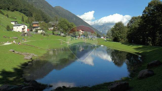 Azienda agricola in Vendita