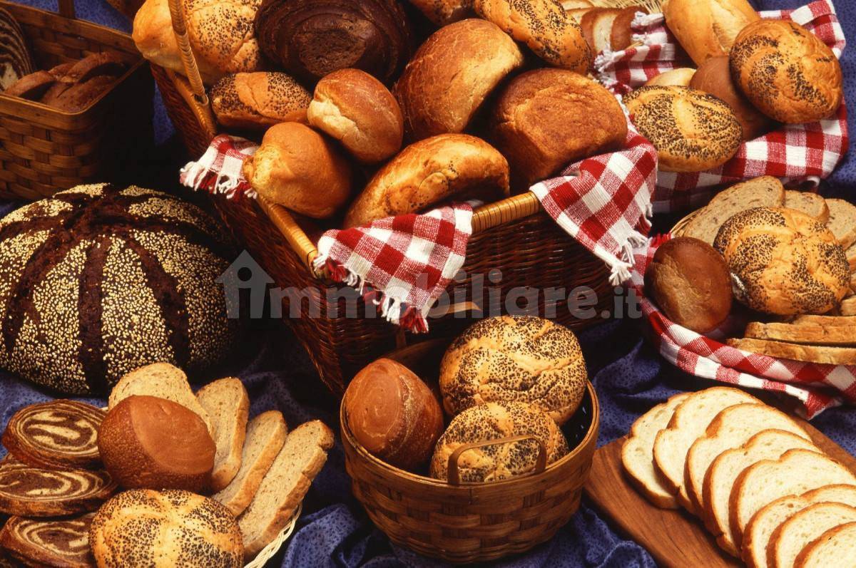 Panificio in Vendita