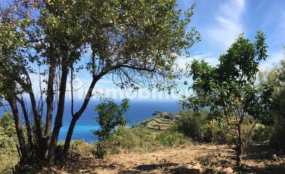 Rustico via Colla, Zona Collinare, Bordighera