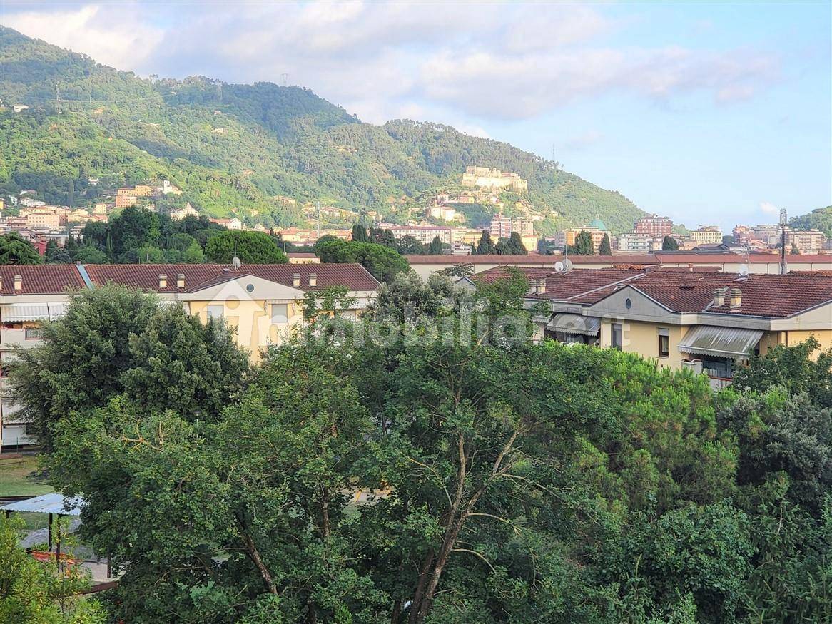 Quadrilocale via Aldo Salvetti 212, Mirteto, Massa