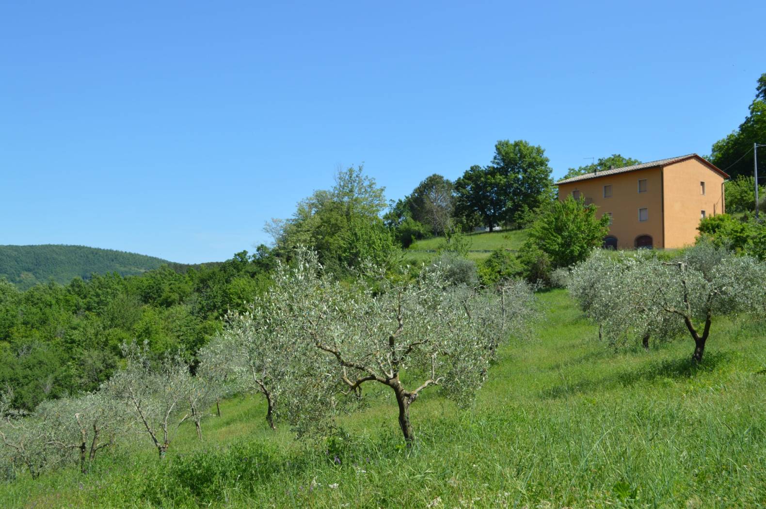 Appartamento Strada Provinciale Galleraie, Montieri